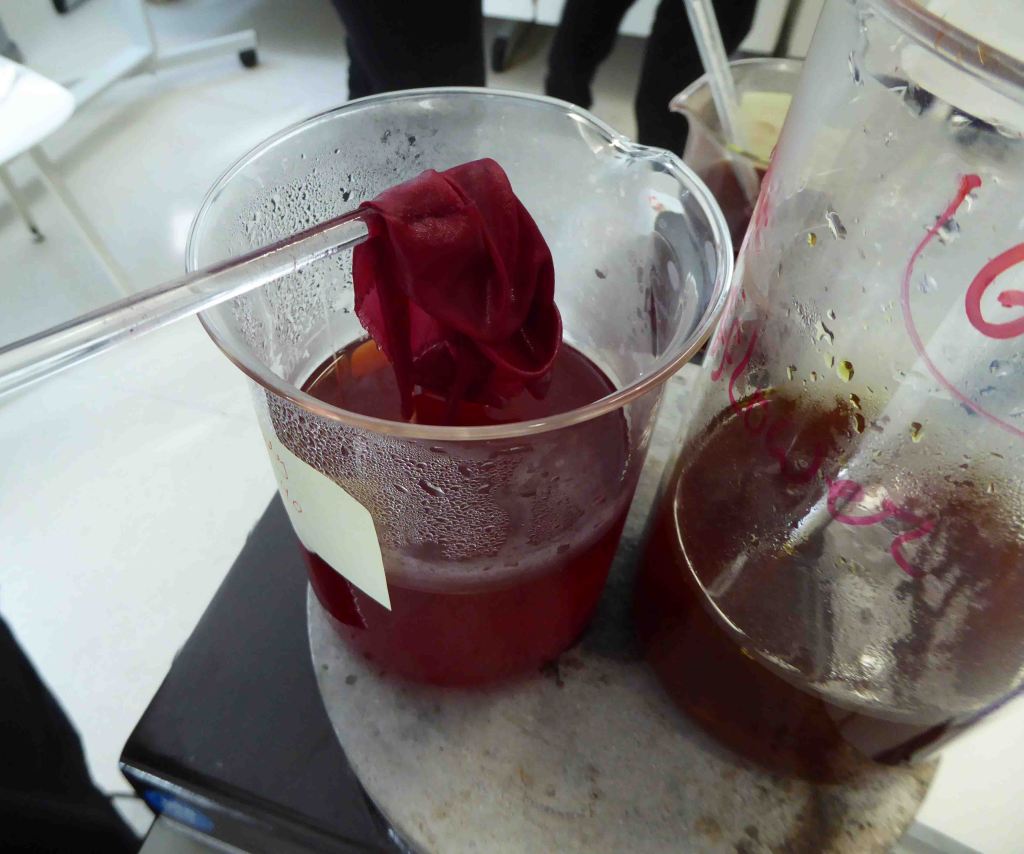 Dyeing Reds in Amsterdam | Isabella Whitworth